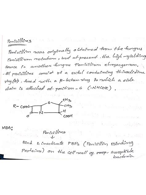 Penicillins Pdf