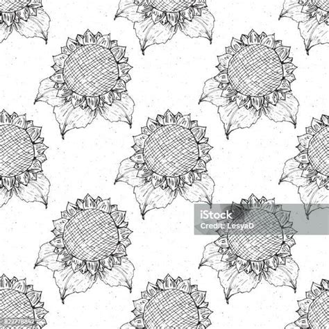 해바라기 원활한 패턴 손으로 그린된 스케치 배경 인쇄 술 디자인 벡터 일러스트 레이 션 0명에 대한 스톡 벡터 아트 및 기타