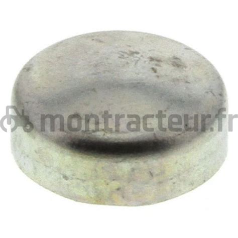Pastille De Sablage Acier 12 00 Mm 0081312