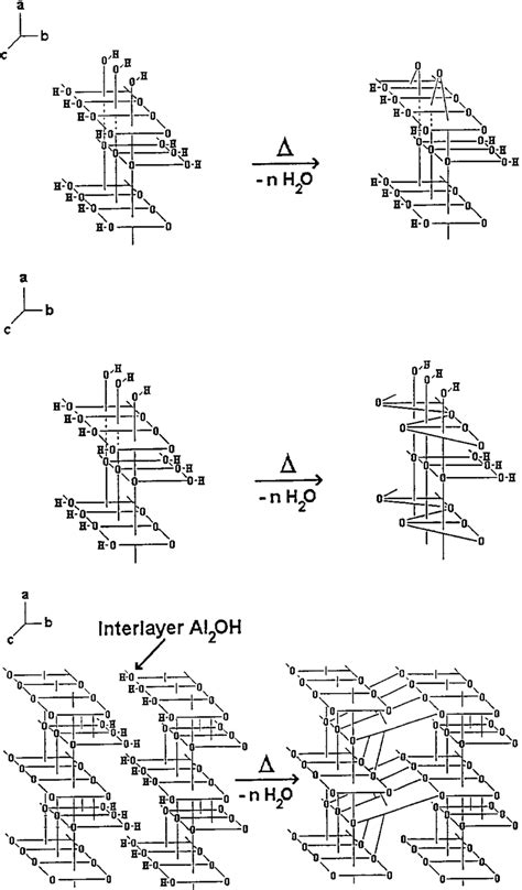 Proposed Schemes For The Condensation Of Structural Hydroxyl Groups Of Download Scientific