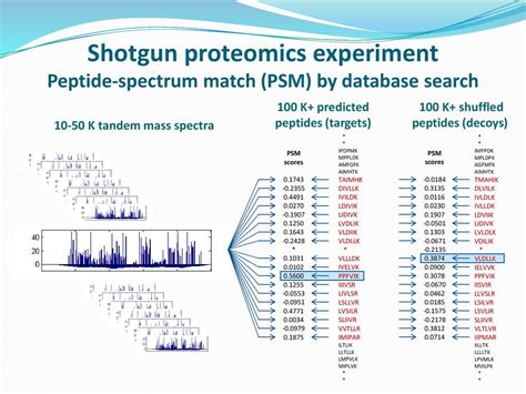computing xcorr exact p values ppt download