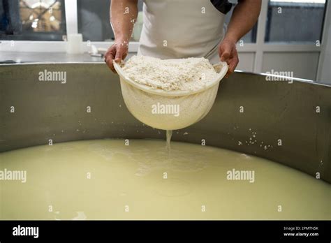 Cheese Production Process Cheesemaker Drain Curd From Whey Handmade Healthy Food Manufacturing