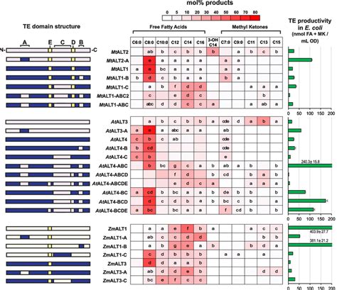 Structural Composition Substrate Specificity And Productivity Of Download Scientific Diagram