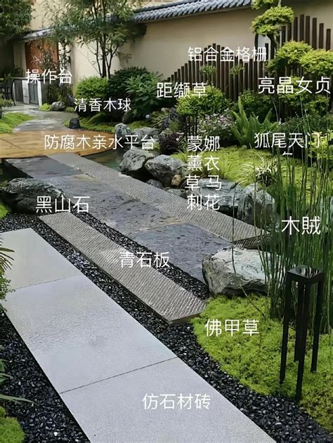 庭院设计景观植物分享，花镜搭配 1花园设计师小邓 来自小红书网页版 花瓣网