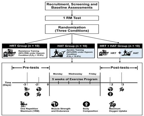 Outline Of Training And Testing Schedule Download Scientific Diagram