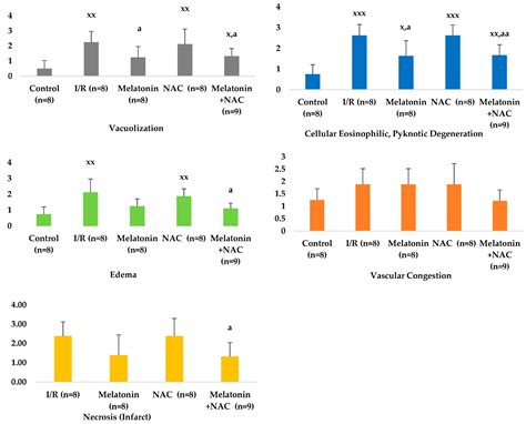 An Evaluation Of The Effectiveness Of Melatonin And N Acetylcysteine In Cerebral Ischemia