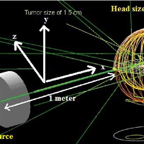 Monte Carlo Simulation Of X Ray Radiation Beam Interaction With A Human Download Scientific