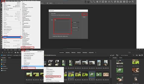 still photo sequence adobe support community 11653567