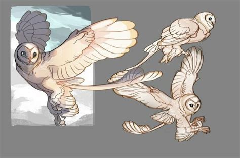 Bird Drawings Mythical Creatures Art