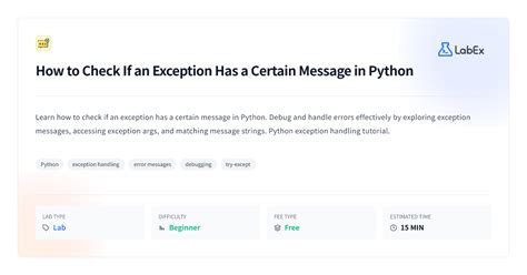 how to check if an exception has a certain message in python labex