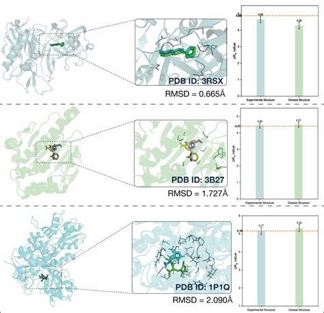 Mm Drpnet A Multimodal Dynamic Radial Partitioning Network For Enhanced Proteinligand Binding