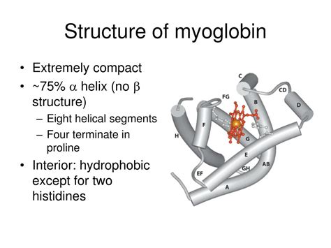 Ppt Proteins Often Consist Of Multiple Domains Powerpoint