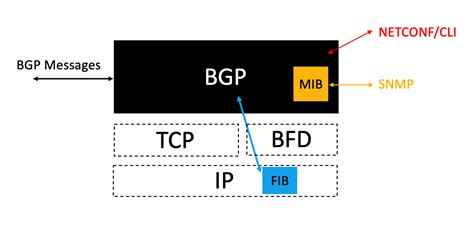 Xbgp Making Bgp Truly Extensible Pluginized Protocols
