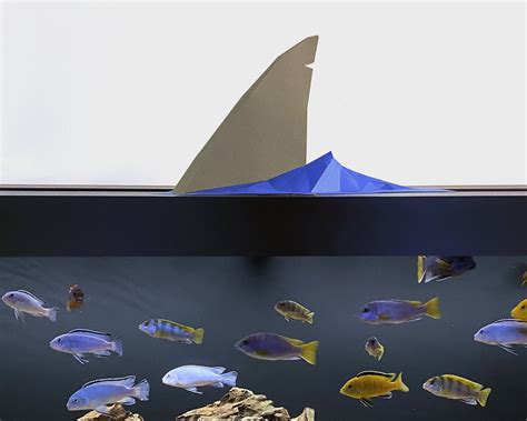 White Shark Fin Papercraft 3d Shark Fin Paper Sculpture Fin Etsy Canada
