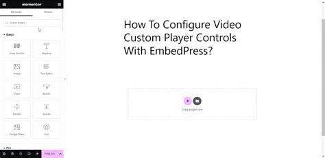 How To Configure Video Custom Player Controls With Embedpress Embedpress