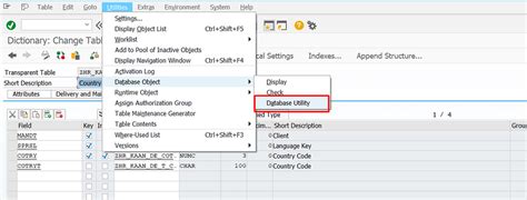 creating a sap abap maintenance view kaan can calkan