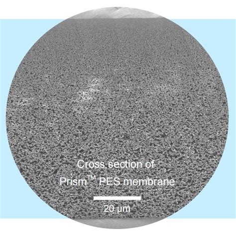 😍 😍 The Prism Pes Ultrafiltration Membrane Developed By Membrane… Jane Wu