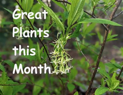 Gardening Tasks To Tackle Before Easter Get Your Garden Summer Ready