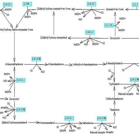 Figure S10 Gibberellin Biosynthesis Enzymes Involved In The Reaction Download Scientific
