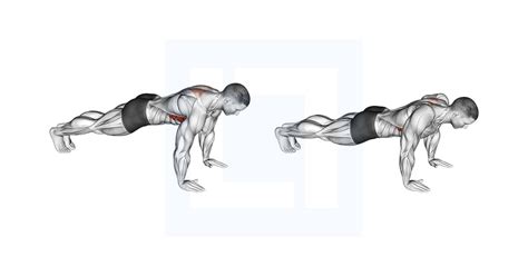 Scapula Push Up Guide Benefits And Form