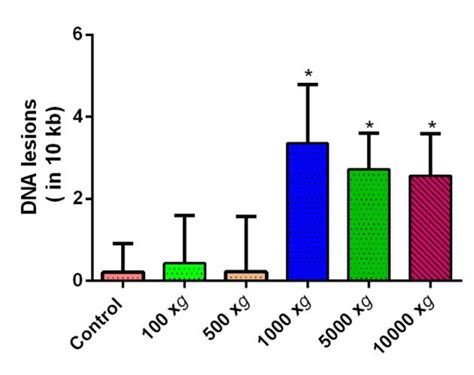 Dna Integrity Results Of The Isolated Dna From Pellet By Defined Download Scientific Diagram