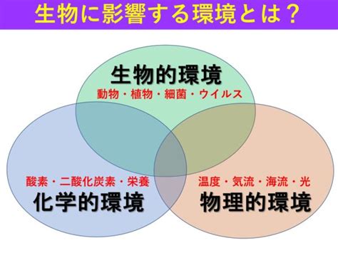 生命と自然環境について 海そのi