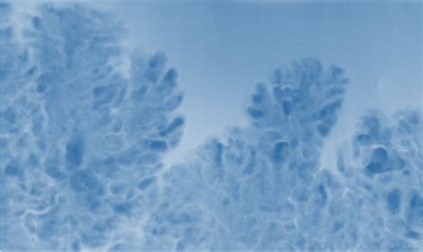 A Novel Perspective On The Degradation Of Si Based Anodes Research Communities By Springer Nature