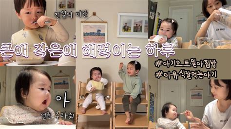 큰애 작은애 해먹이는 하루 모음 아기먹방 개월아기와 개월아기 육아vlog 유아식 레시피 연년생 장점 YouTube