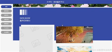 Springboot毕设 大学生一体化服务平台 程序论文 Csdn博客