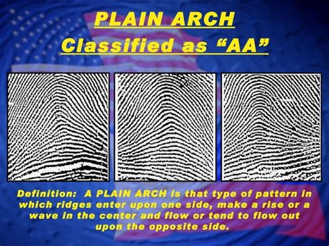 Fingerprint Classification Arch Patterns Ppt