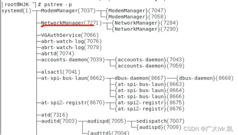 如何在linux环境中设置网络服务的自启动或自关闭？？？ networkmanager自启动 csdn博客