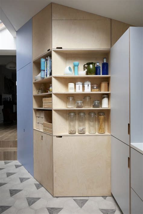 Larch Extension By Pamphilon Echoes London Residences Butterfly Roof