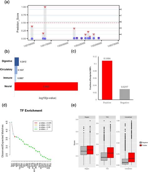 Analyzing Prediction Outcomes A Comparison Of The Prediction Scores