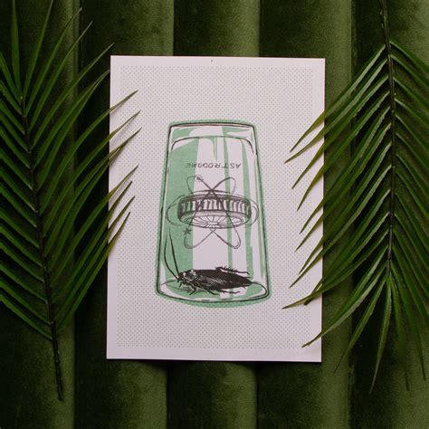 Roach Trap Mystic Multiples