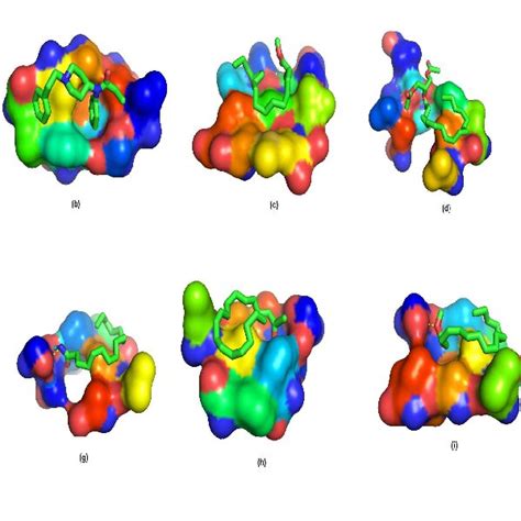 Molecular Docking Visualization Of The Interaction Of Oleoyl Chloride Download Scientific