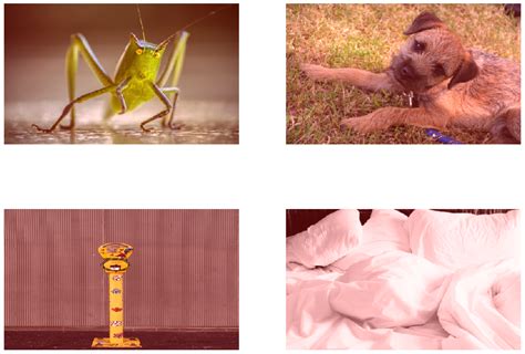 Inputs To Dali Dataset With External Source — Nvidia Dali