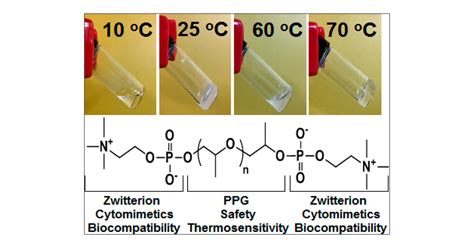 Phosphorylcholine Based Zwitterionic Biocompatible Thermogel Biomacromolecules