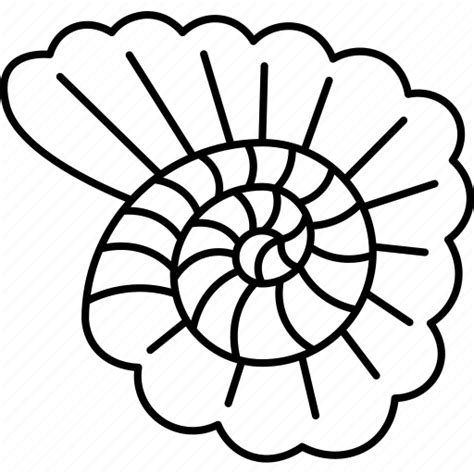 Fossil Shell Ammonite Prehistoric Archaeology Icon Download On Iconfinder