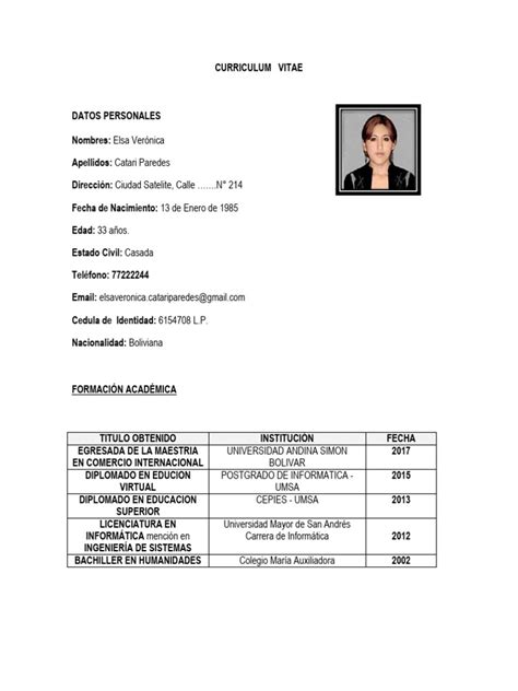 Cv Elsa Catari Paredes Descargar Gratis Pdf Aduana Microsoft