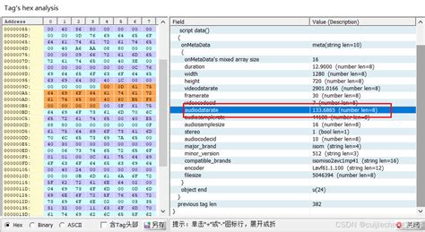 音视频入门基础：flv专题（23）——ffmpeg源码中，获取flv文件音频信息的实现（下）ffmpeg查看flv编码 Csdn博客