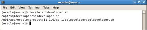 Srinis Boulevard How To Add Sqldeveloper To Linux Start Menu