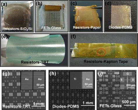 Photographs Of The Transferred Microelectrode Arrays On Various