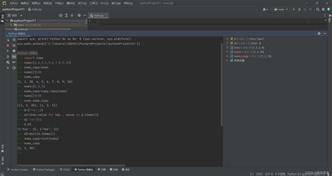 Python工匠技巧系列（拷贝）python工匠 下载 Csdn博客