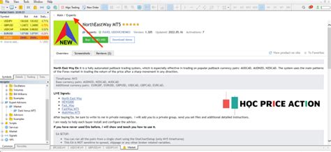 Hướng dẫn backtest strategy trên MT5 một cách chi tiết nhất Học Price Action