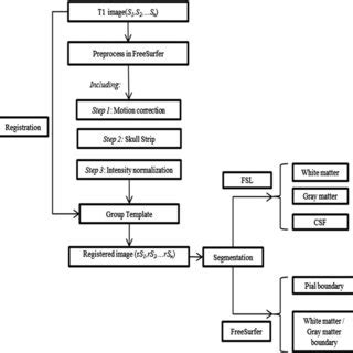 Flow Chart Of Analysis Pipeline Download Scientific Diagram