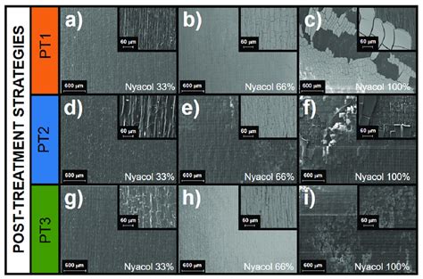 Sem Micrographs Of The Coated Plates With The Different Concentrations