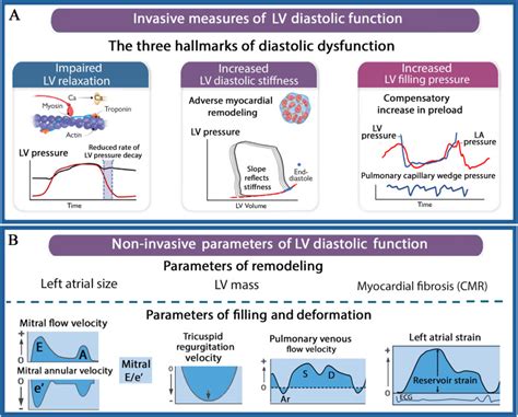 Imaging Of Left Ventricular Diastolic Function Do We Need Both Left Atrial Volume And Reservoir