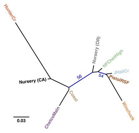 Development And Application Of Tools For Genetic Analysis Of Clonal Populations