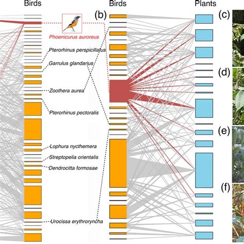 Ingo Grass Professor Full Phd University Of Hohenheim
