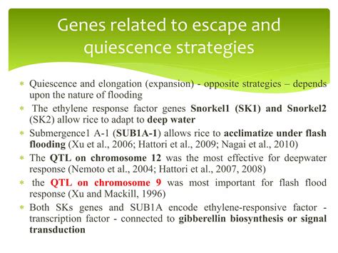 Submergence Tolerance In Rice Sub 1 Pptx Genetics Science